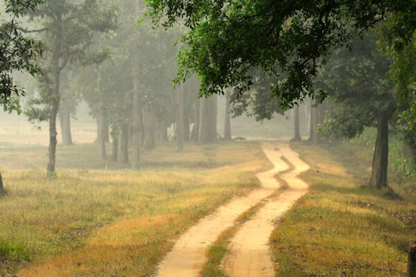 Best Safari Gates (Safari Zones) at Pench National Park