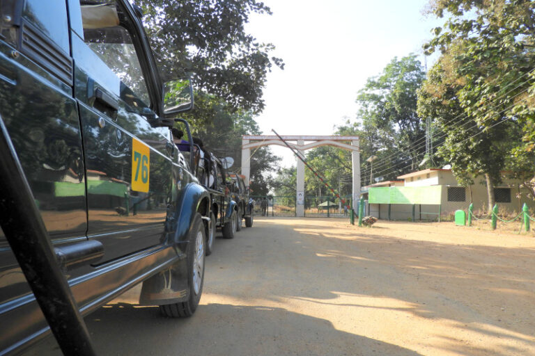 Best Safari Gates (Safari Zones) at Pench National Park