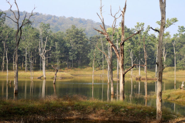 Best Safari Gates (Safari Zones) at Pench National Park