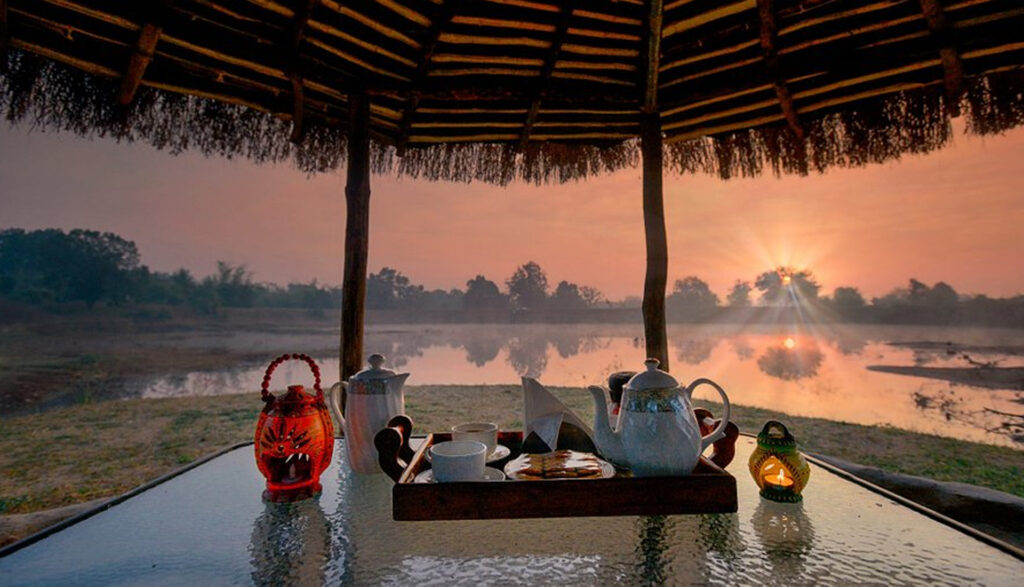 Pench National Park Tour Packages - JungleTrail